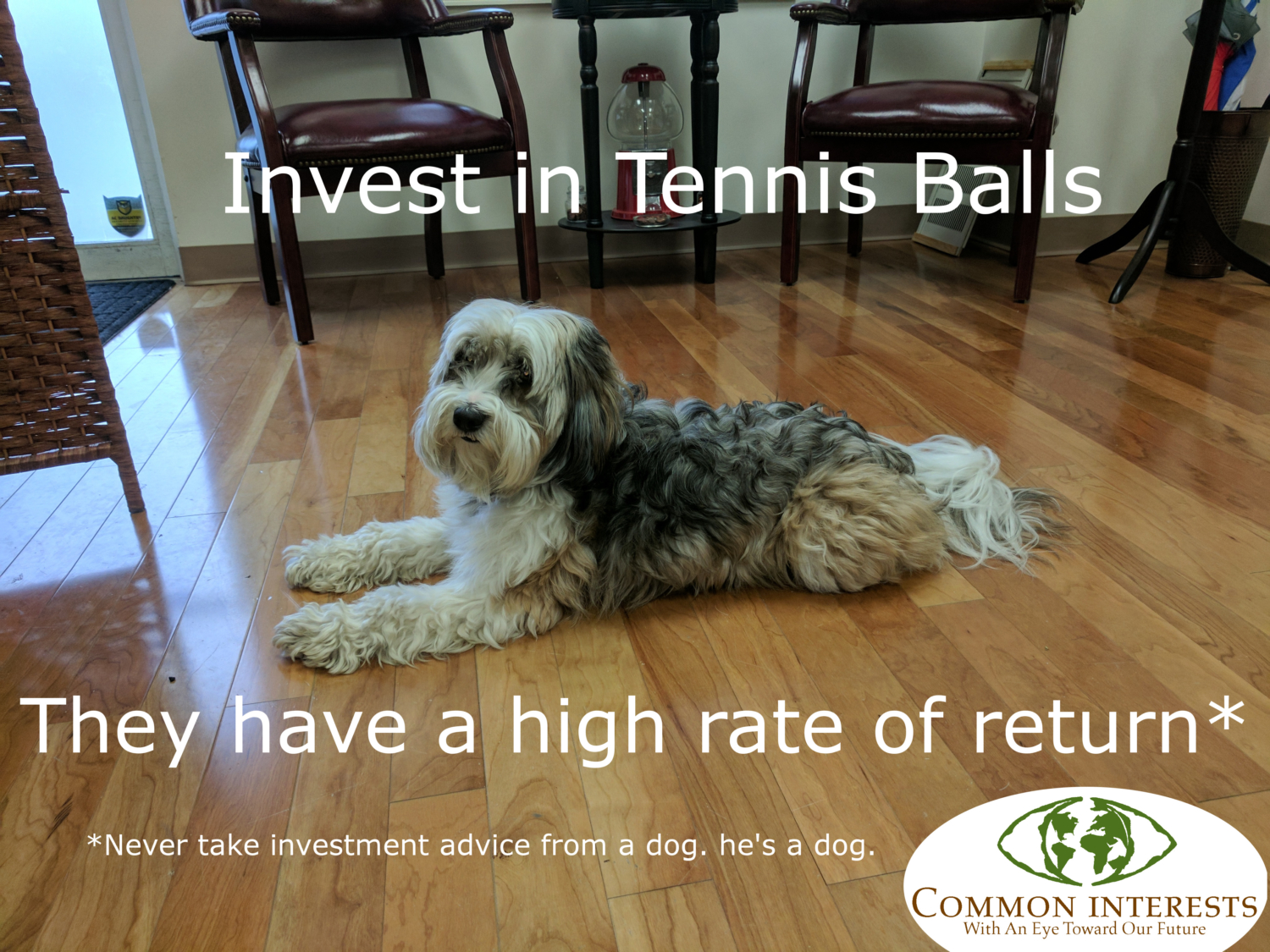 Our People - Common Interests | Financial Advisor | Financial planning ...