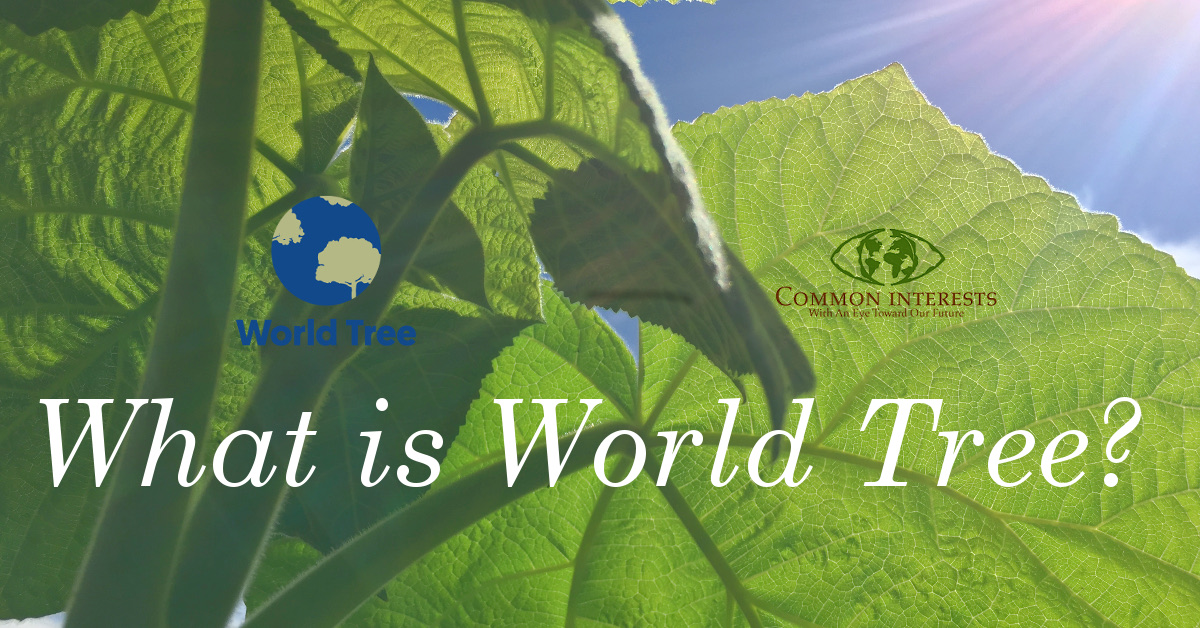 What is World Tree? - Common Interests | Financial Advisor | Financial ...